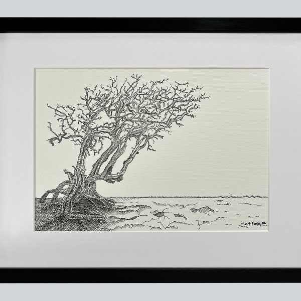 Windswept Tree - Etsy