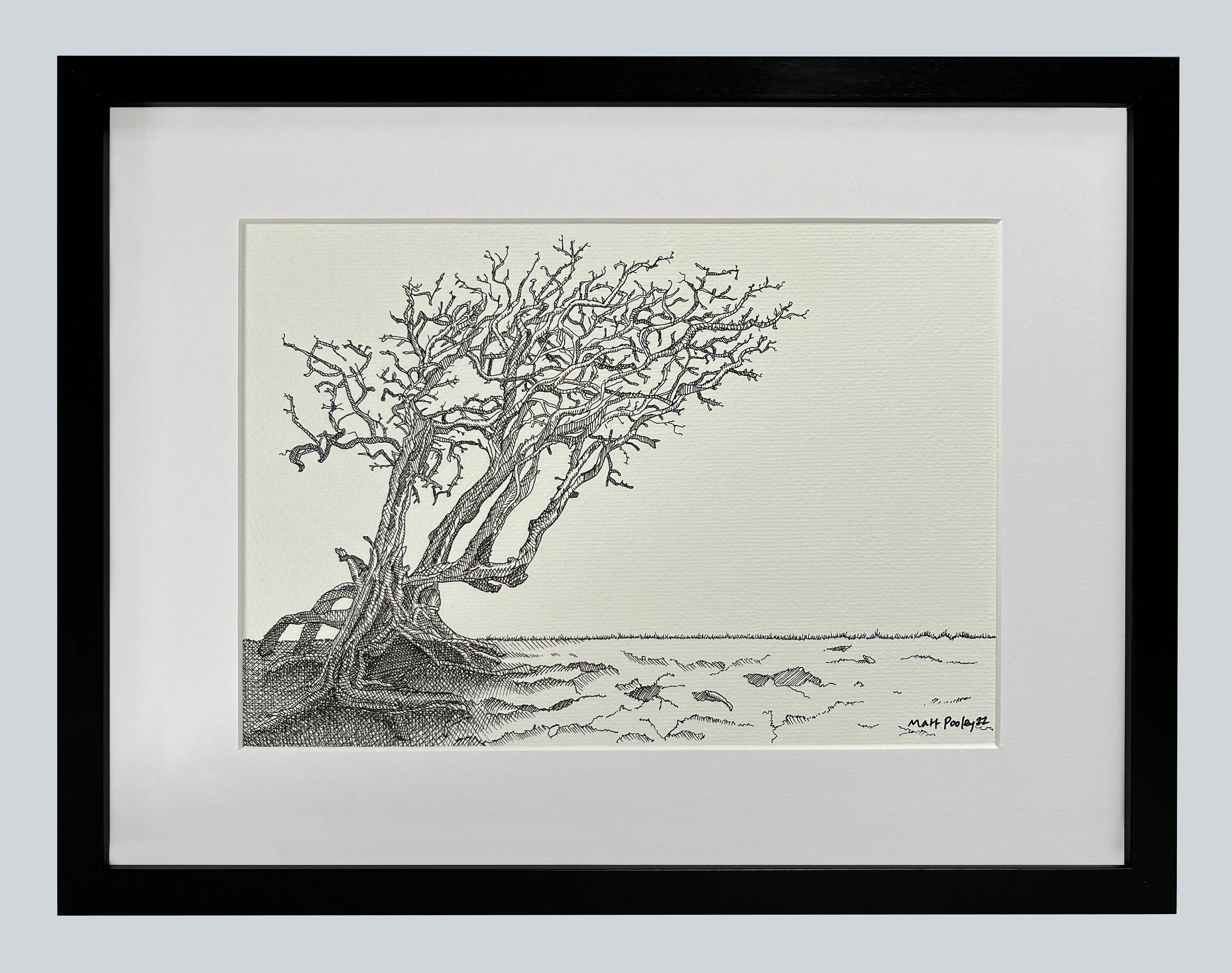 Windswept Tree, Lake District. Original Framed Pen and Ink Drawing. - Etsy