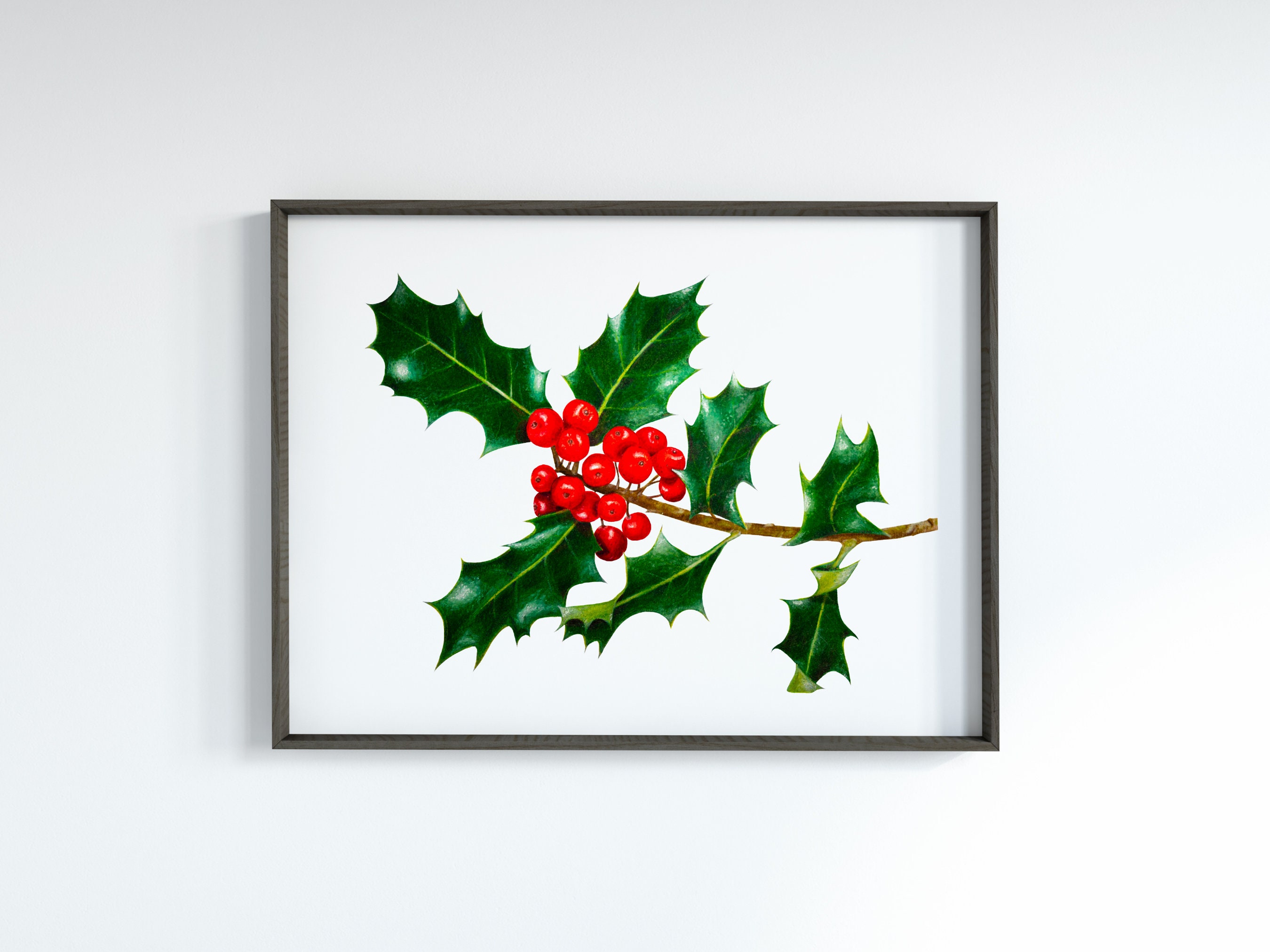 English Holly Art Print, Colored Pencil Art, Printable Wall Art ...