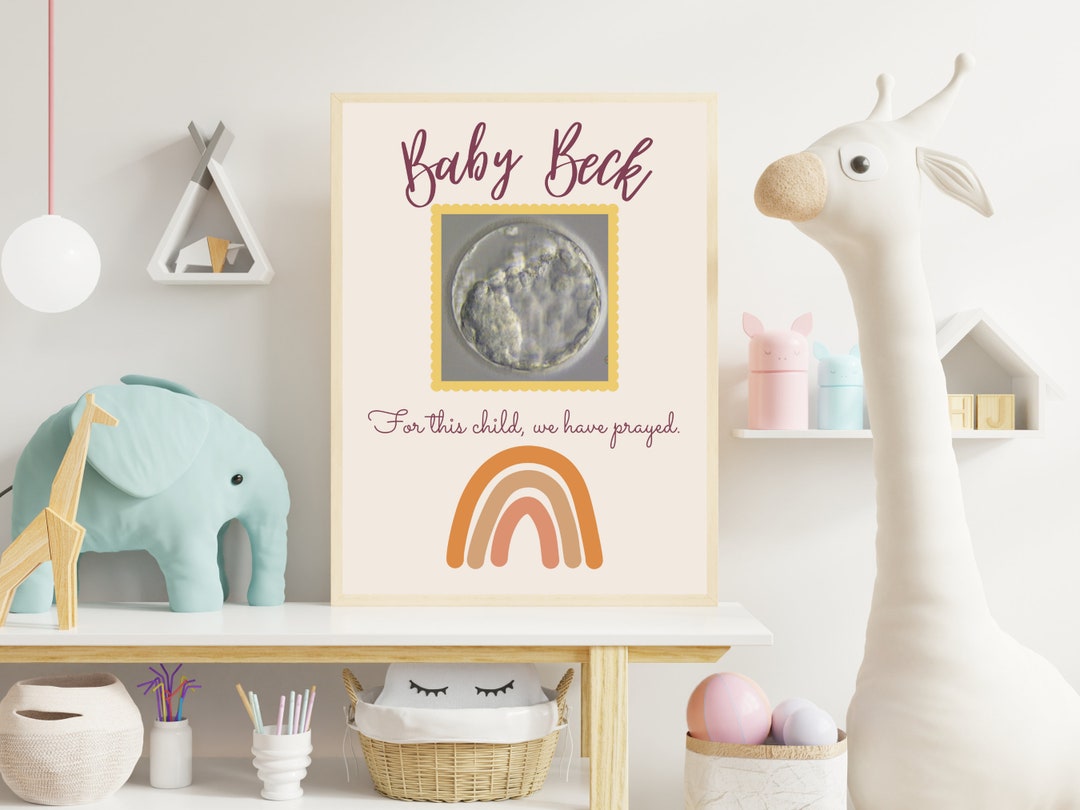 IVF Pregnancy, Rainbow Baby Nursery Baby Shower Decor - Etsy