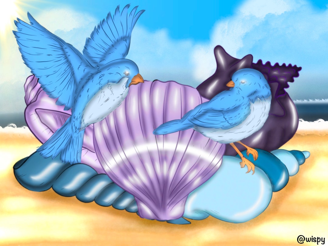 Birds and Seashells! - Etsy
