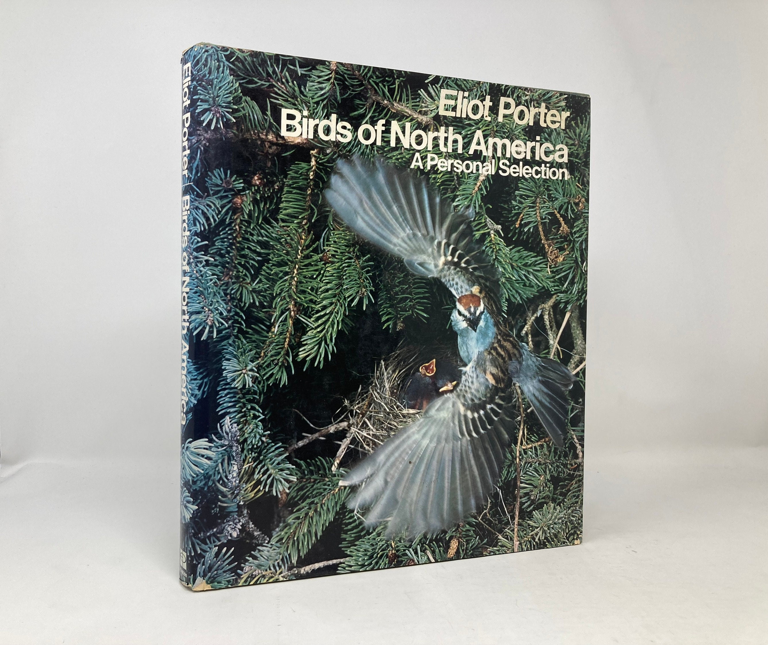 Eliot Porter Birds