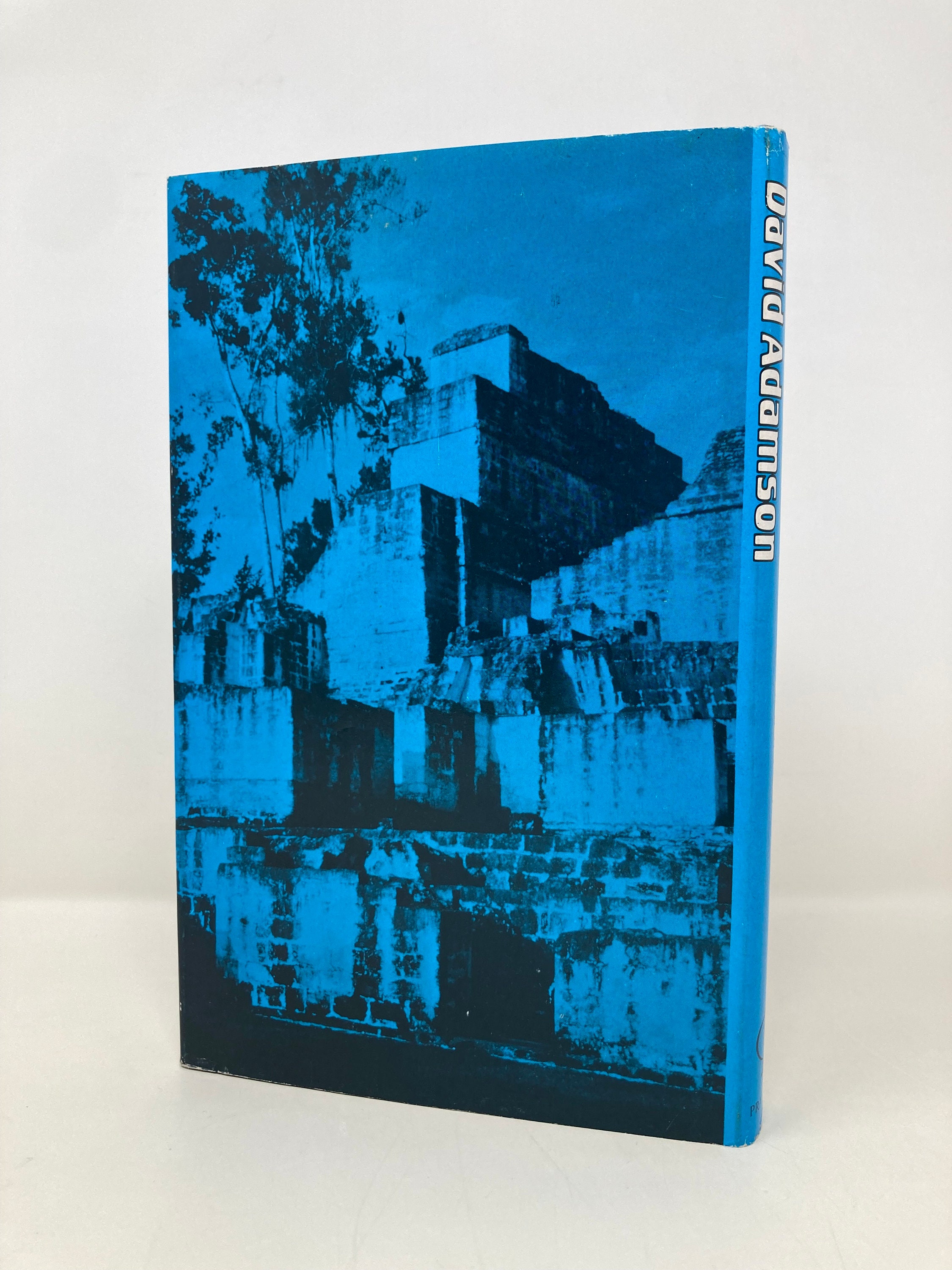 The Ruins of Time by David Adamson HC Hardcover 1st First VG Very Good ...