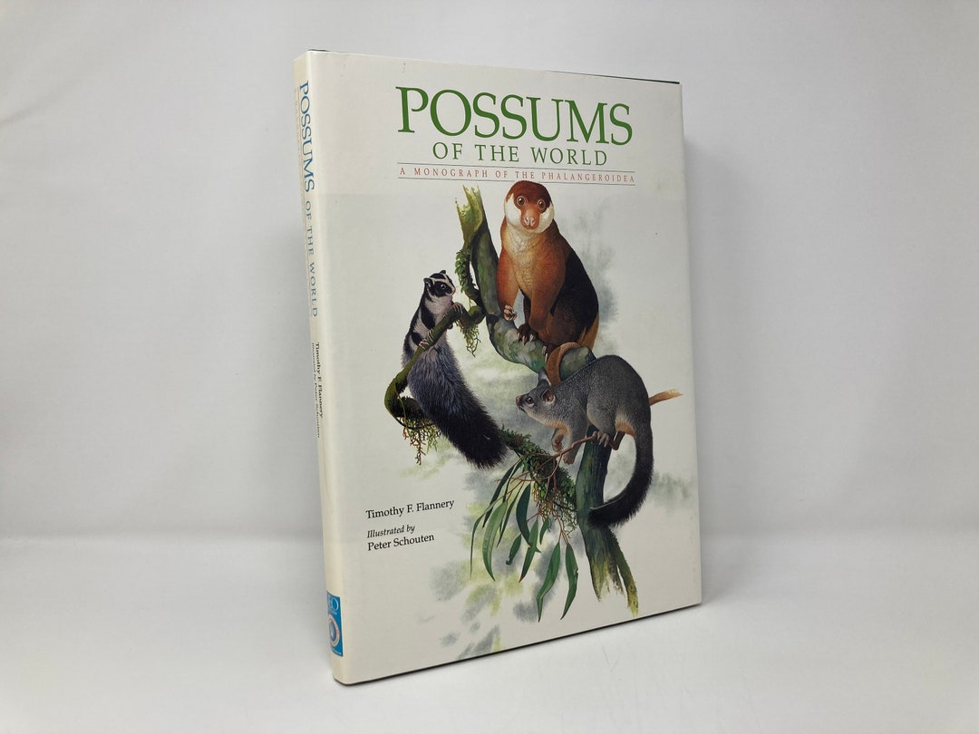 Possums of the World by Timothy F. Flannery HC Hardcover 1st First LN ...