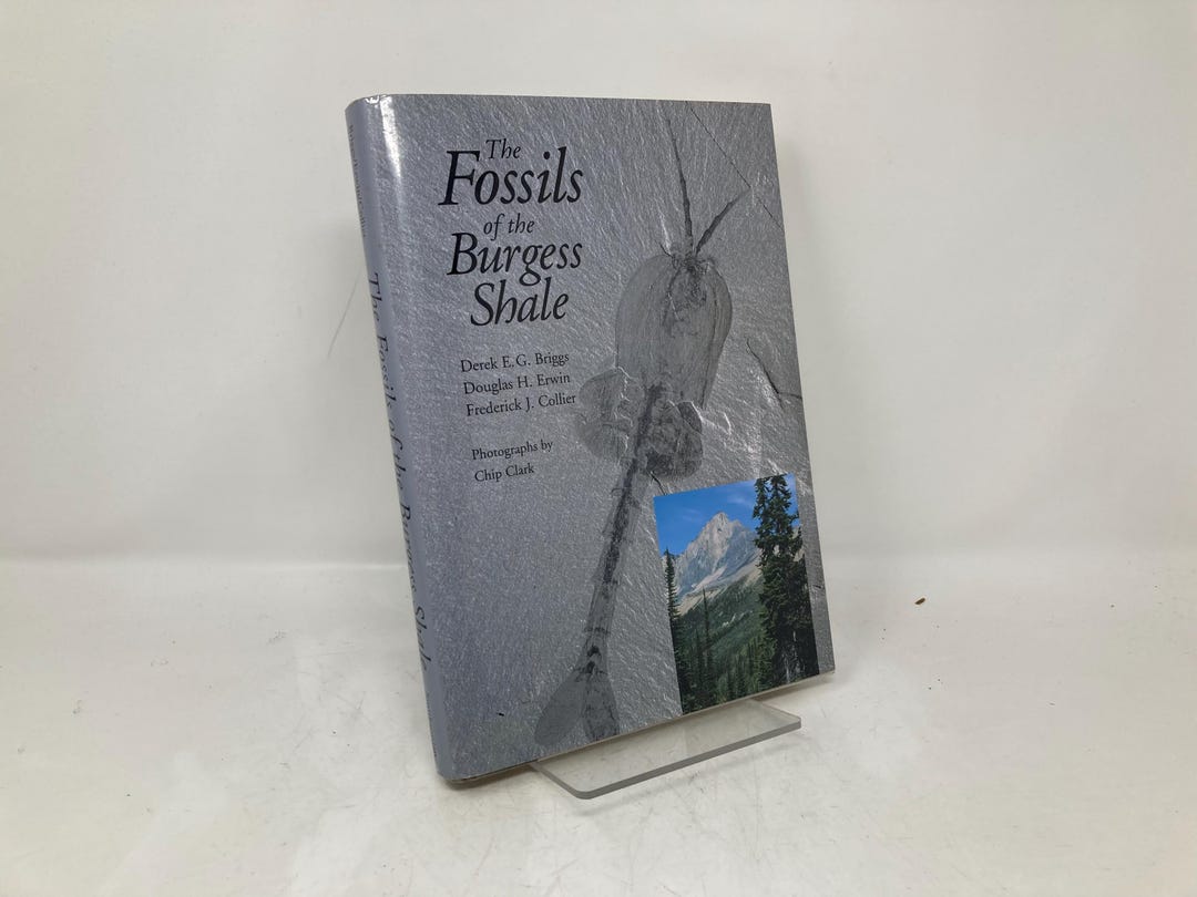 The Fossils of the Burgess Shale by Derek E.G. Briggs HC Hardcover ...