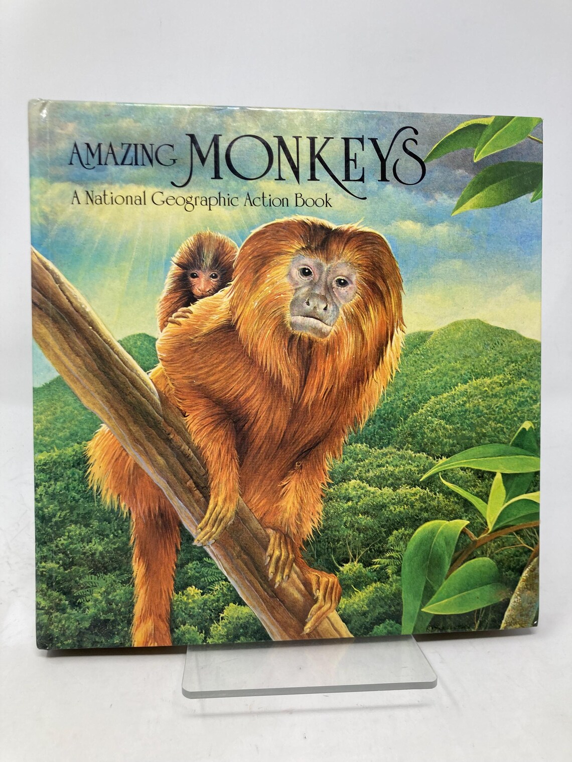 Amazing Monkeys by Robert Hynes HC Hardcover 1st First LN Like New 1985 ...