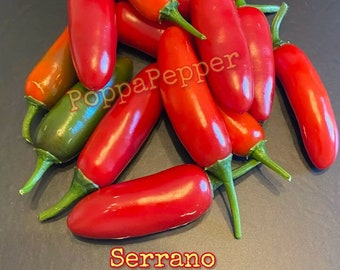 Serrano Pepper Seeds Hot Heirloom Organic - Etsy