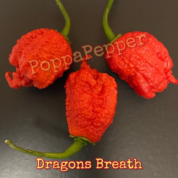 Dragons Breath - Etsy