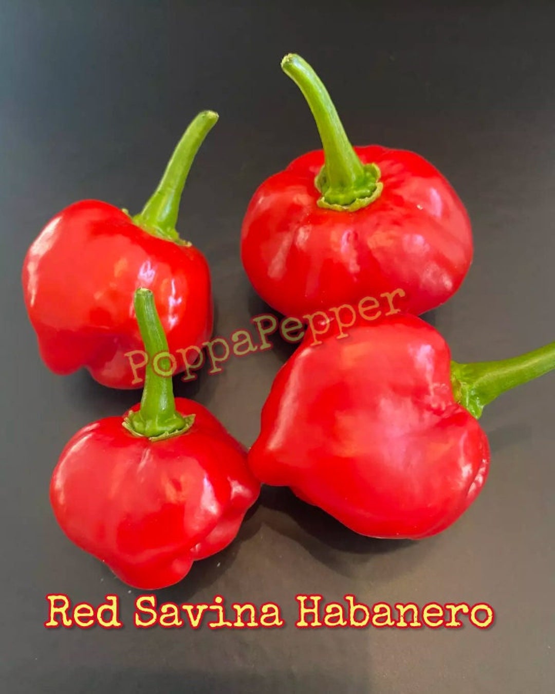 Red Savina Habanero Pepper Seeds - Etsy