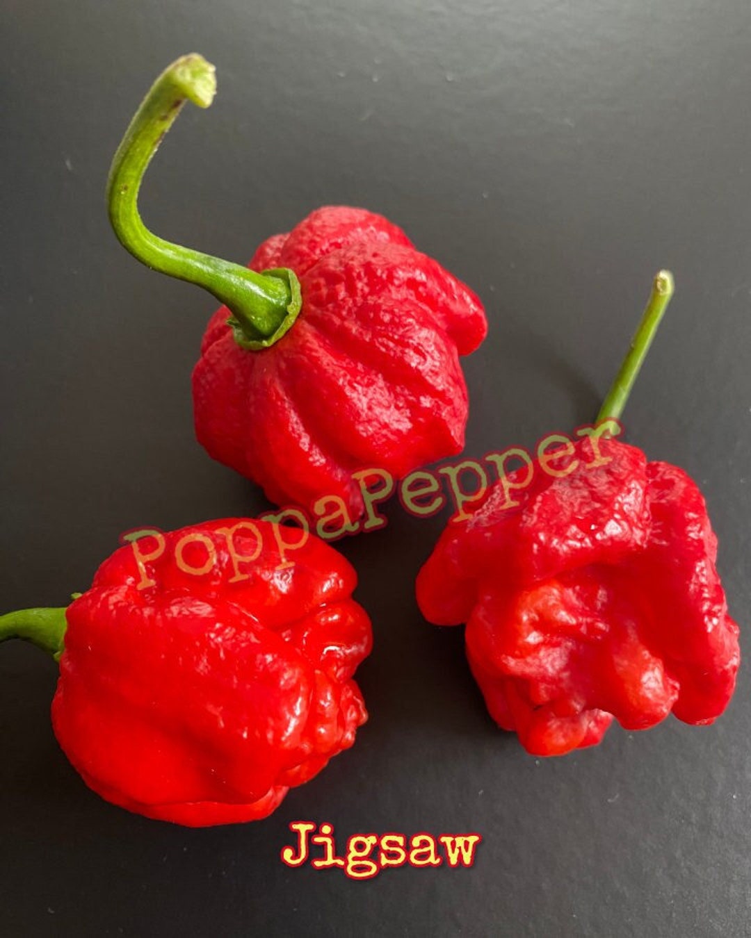 Jigsaw Pepper Seeds - Etsy