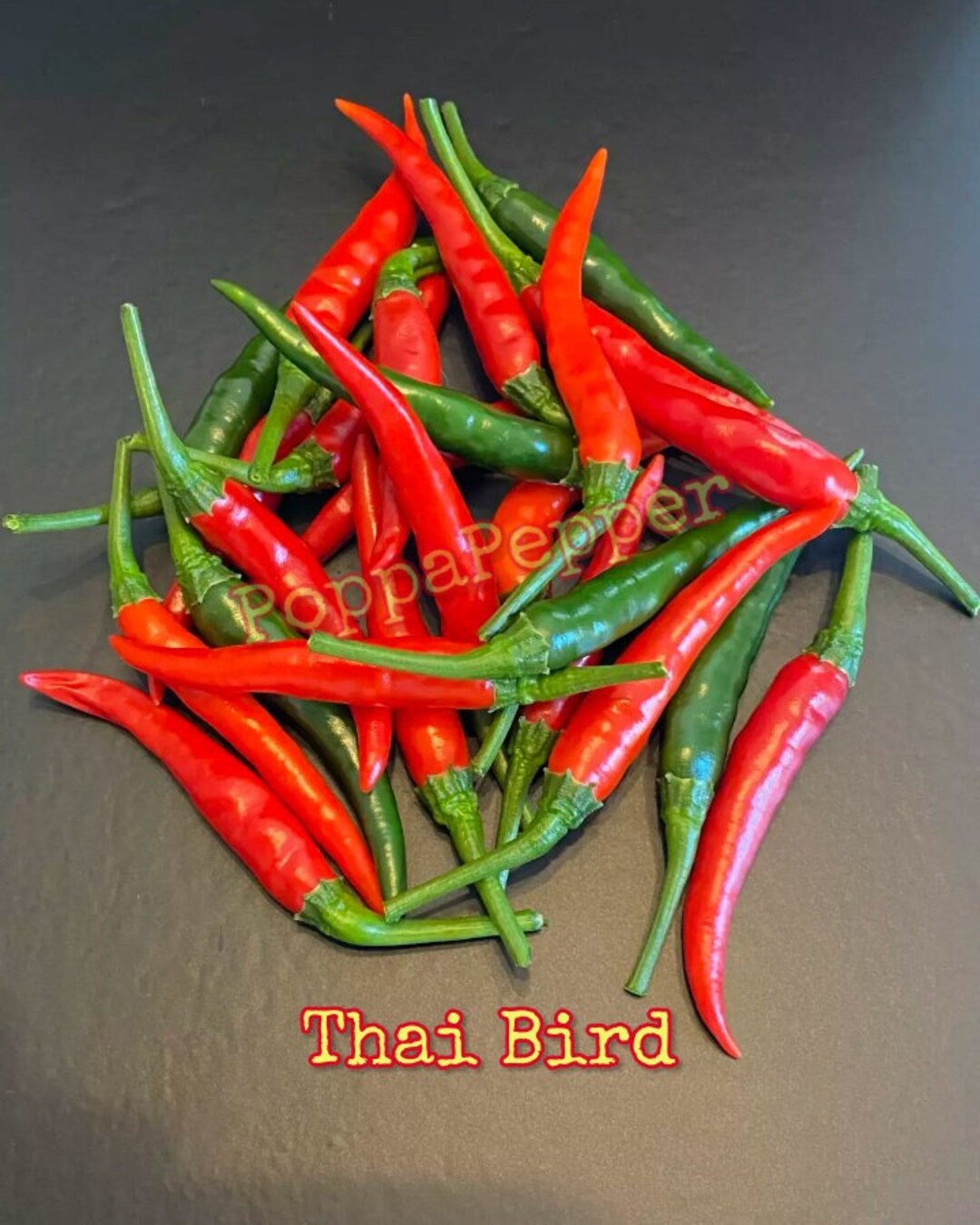 Thai Bird Pepper Seeds - Etsy