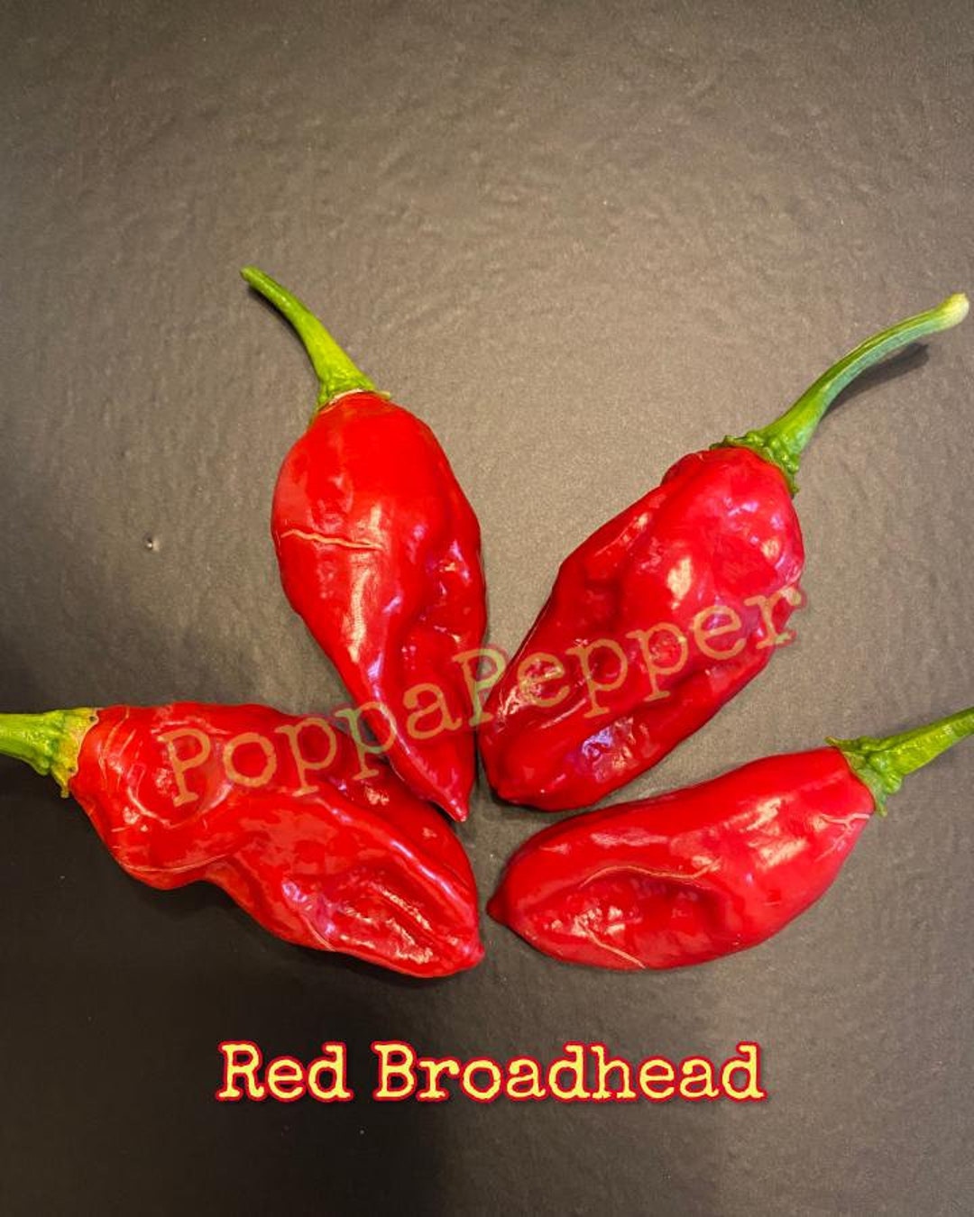 Red Broadhead Pepper Seeds - Etsy