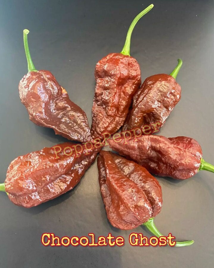 Chocolate Ghost Pepper Seeds - Etsy