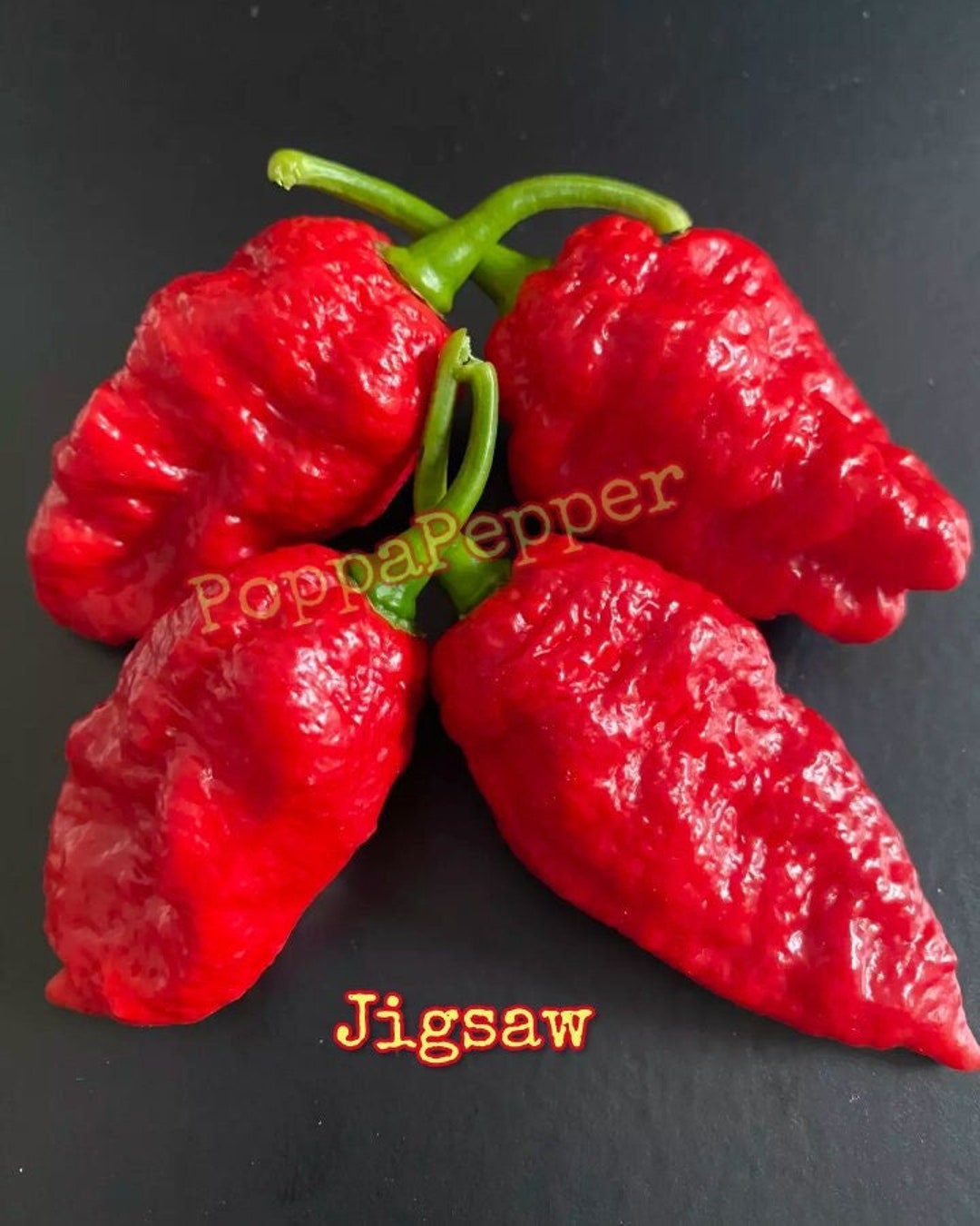 Jigsaw Pepper Seeds - Etsy