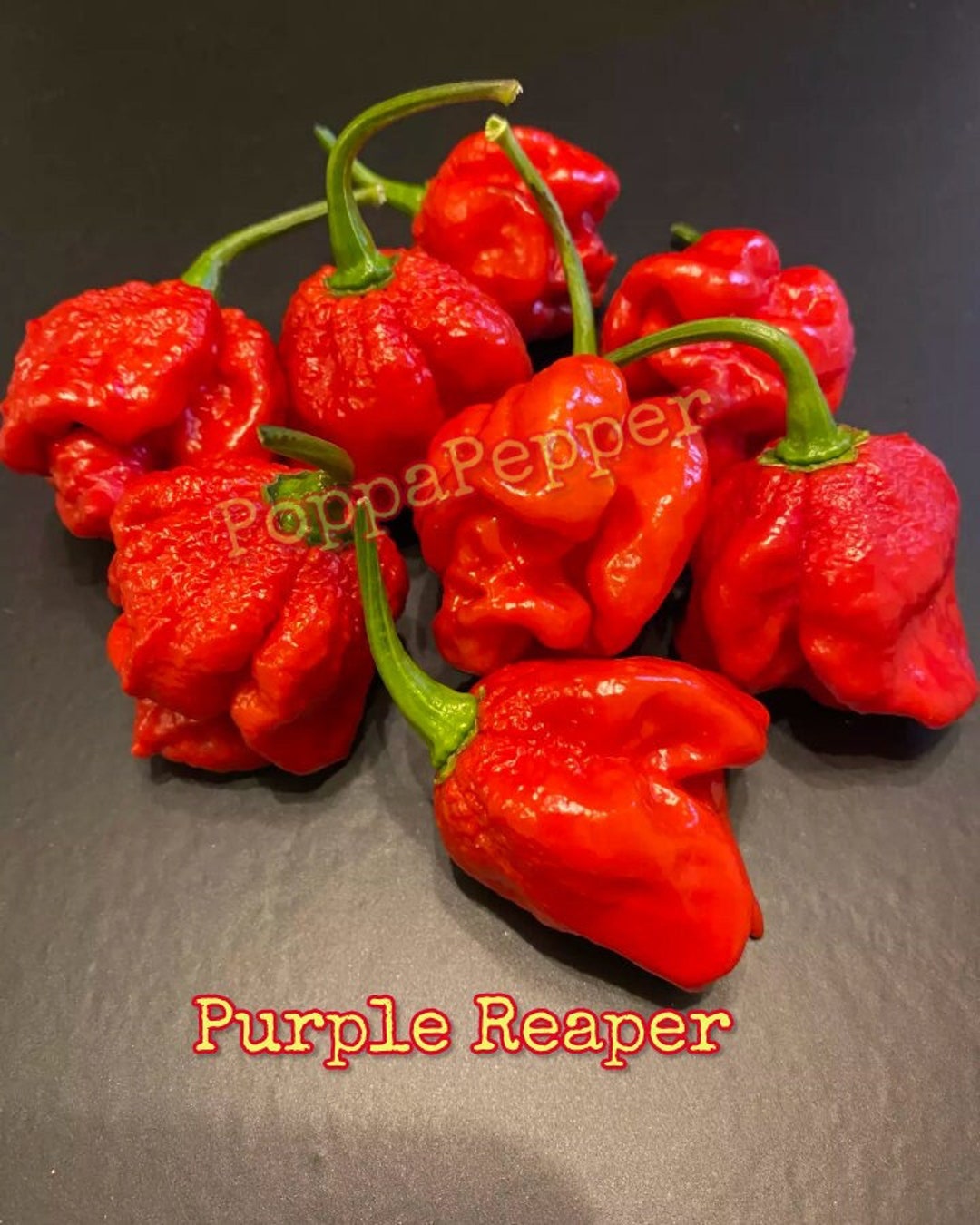 Purple Reaper Pepper Seeds - Etsy