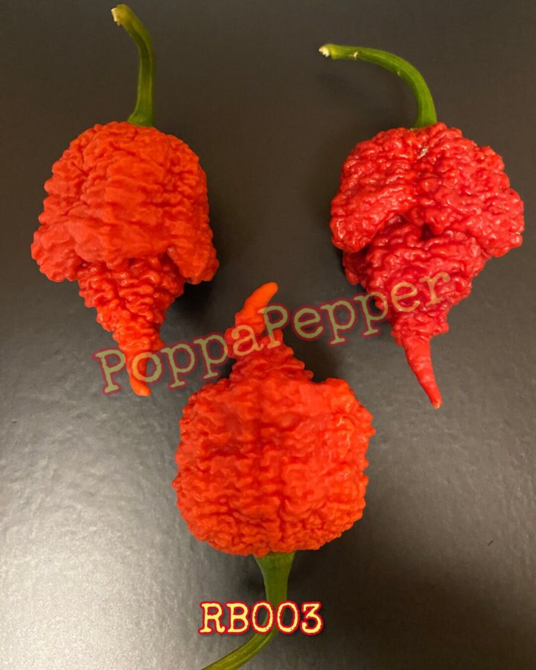 RB003 Pepper Seeds - Etsy