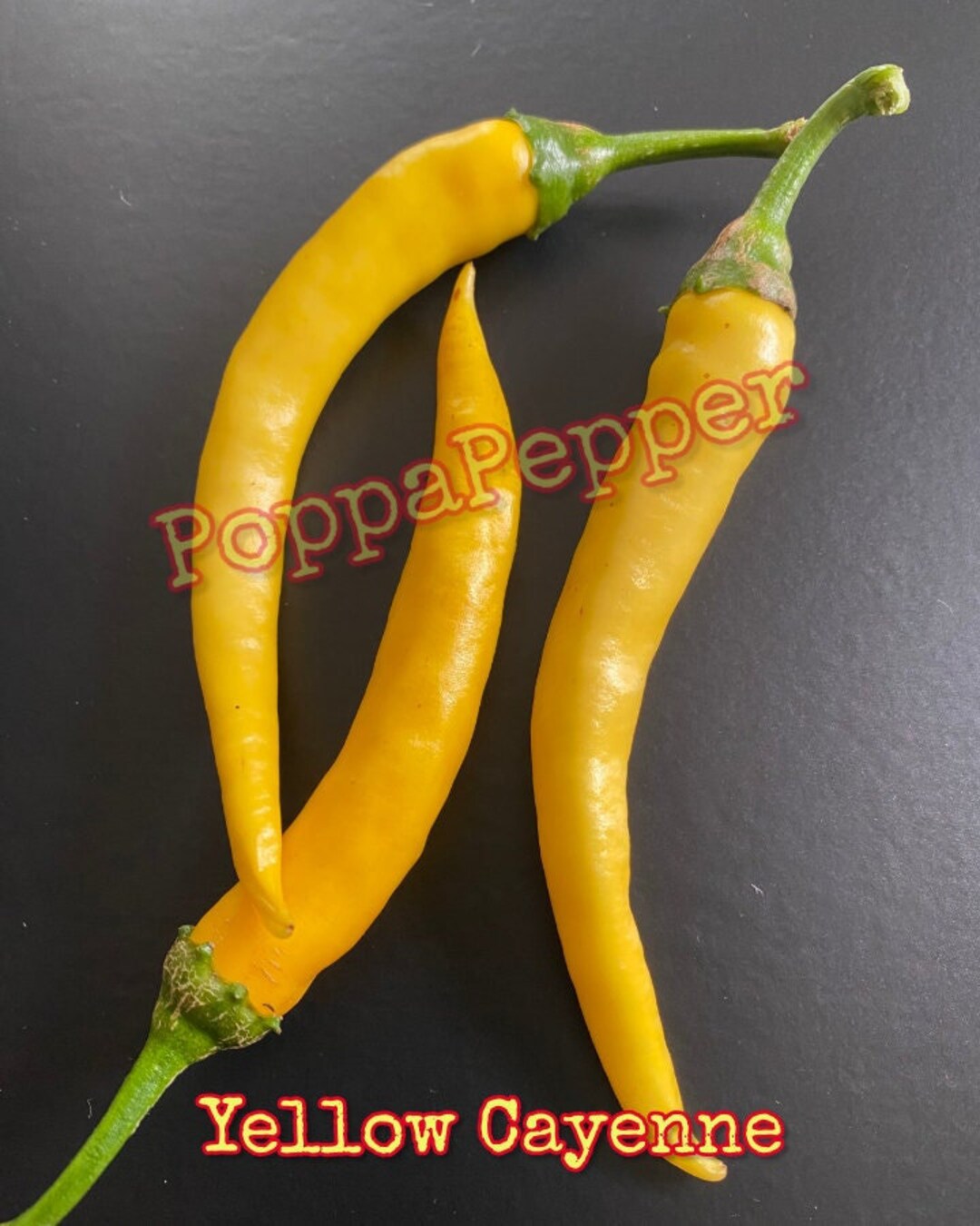 Yellow Cayenne Pepper Seeds - Etsy