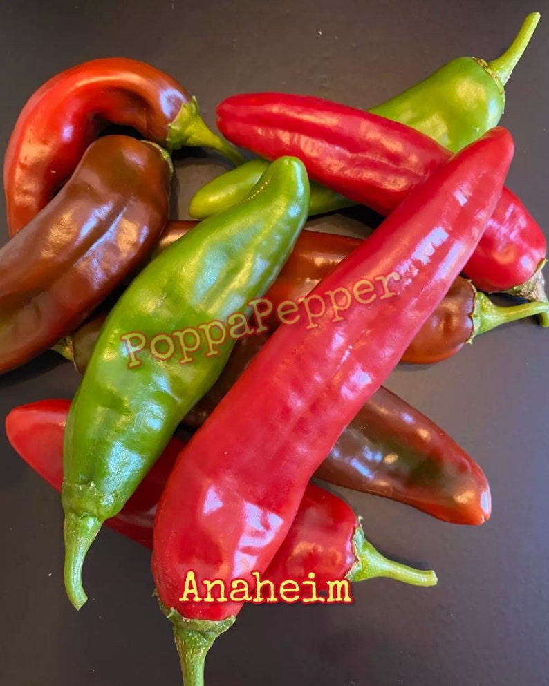 Anaheim Pepper Seeds - Etsy