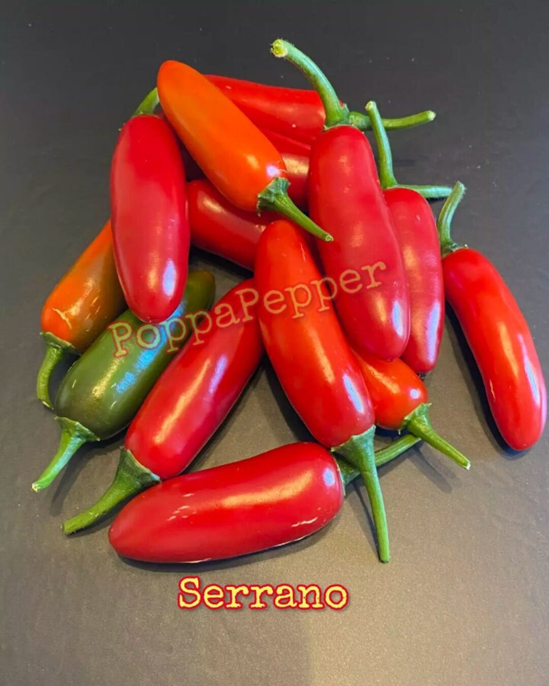Serrano Pepper Seeds - Etsy