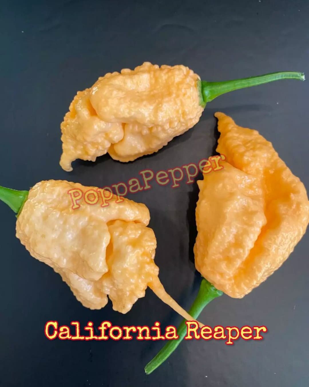 California Reaper Pepper Seeds - Etsy