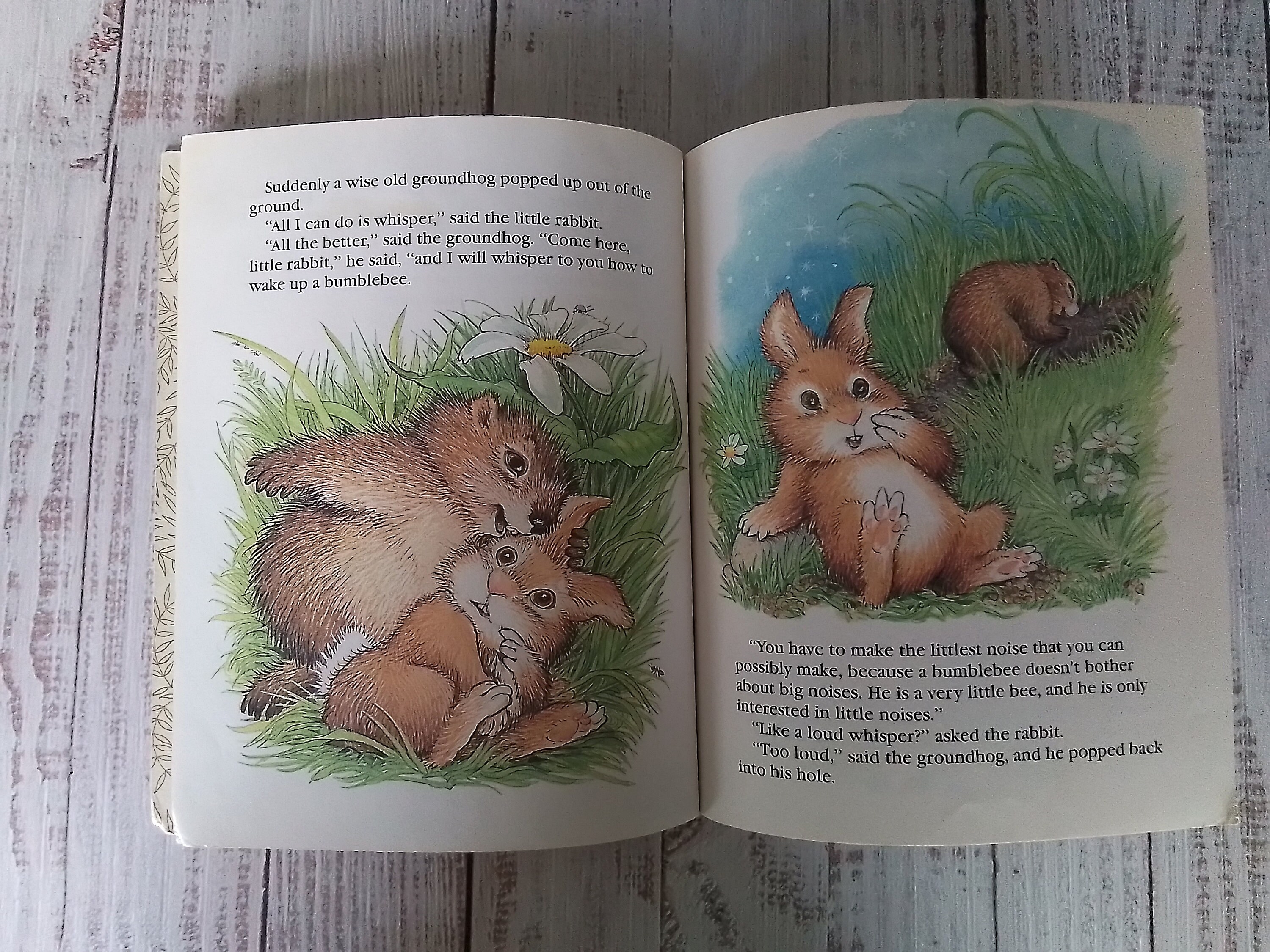 The Whispering Rabbit Little Golden Book/ Vintage 1992 Golden Book ...