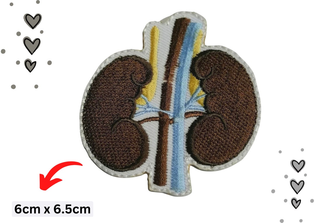 Kidneys Human Body Organs Badge Iron on Sew on Embroidered Patch for ...