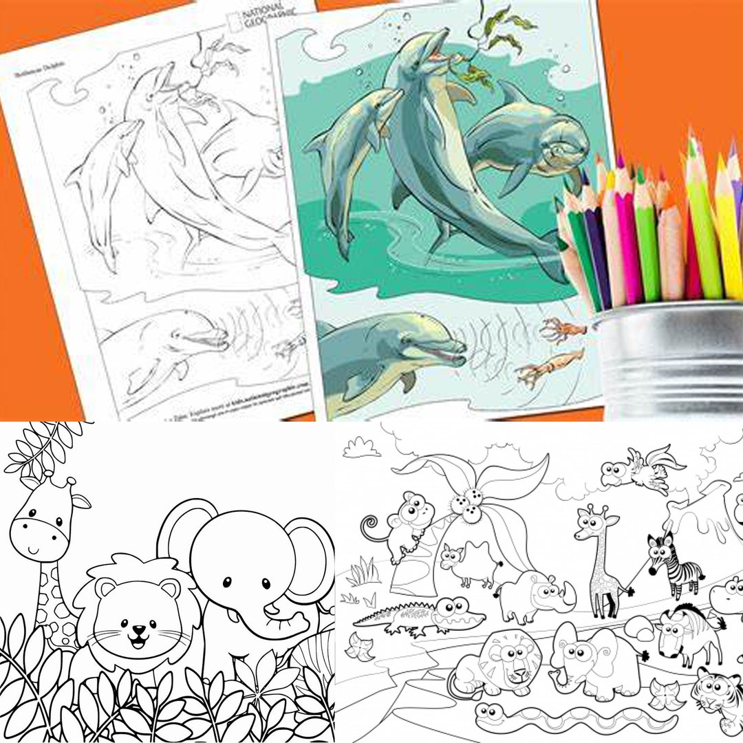 Printable Colouring Sheets Instant Download - Etsy