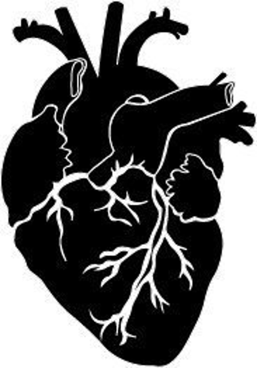 Black Heart Digital Instant Download JPG, PNG, TIF Art, Human Heart ...