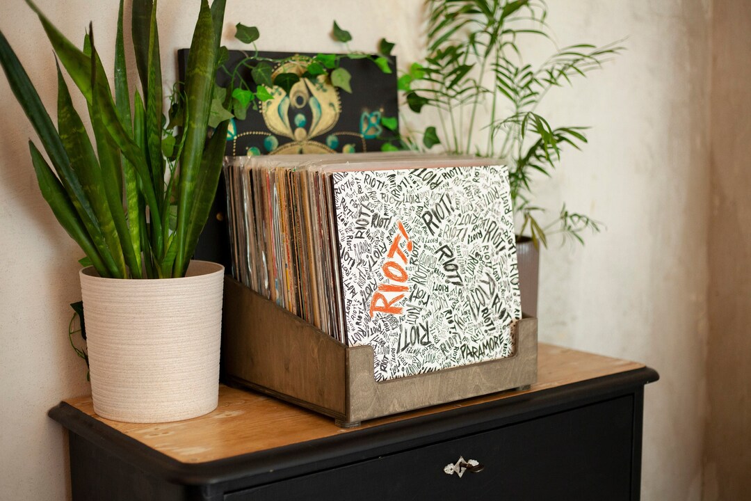 Vinyl Record Storage Display, Vinyl Records Storage Box, Vinyl Record ...