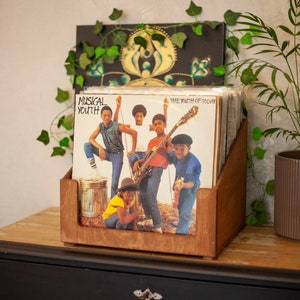 Vinyl Record Box, Handmade Record Storage, Record Flip Rack, Vinyl ...