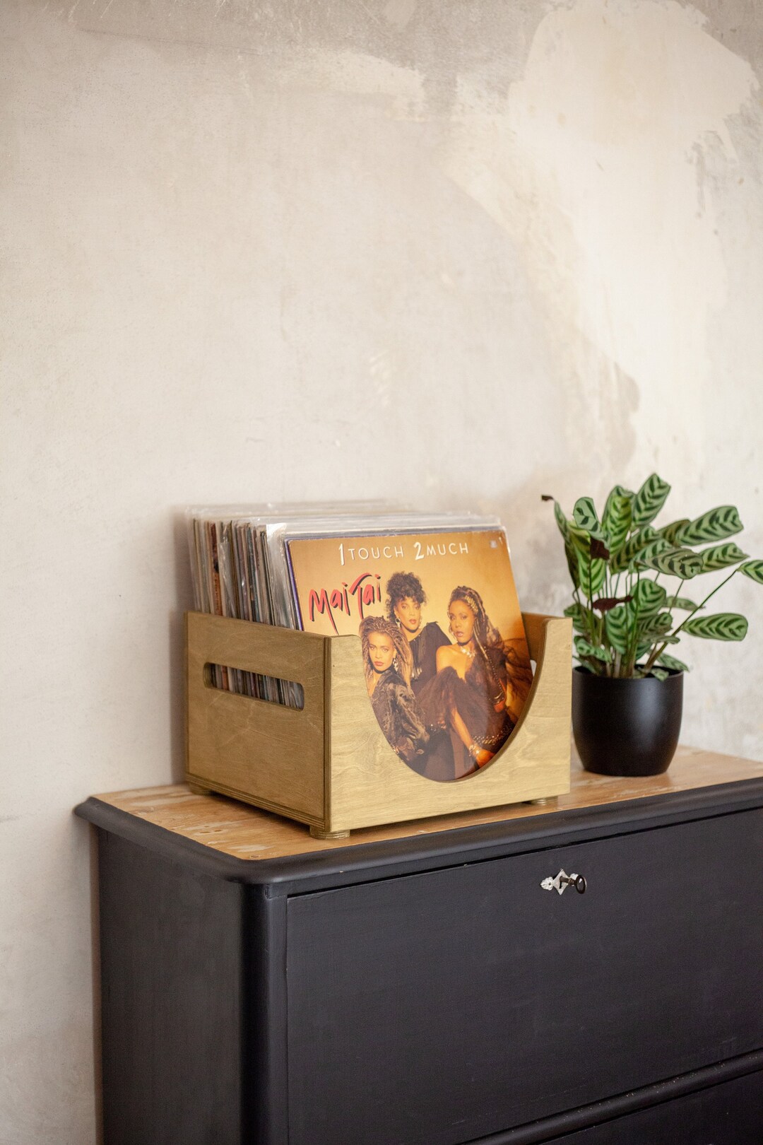 Record Storage Box, Album Crate, Record Flip Rack, Minimalist Design ...