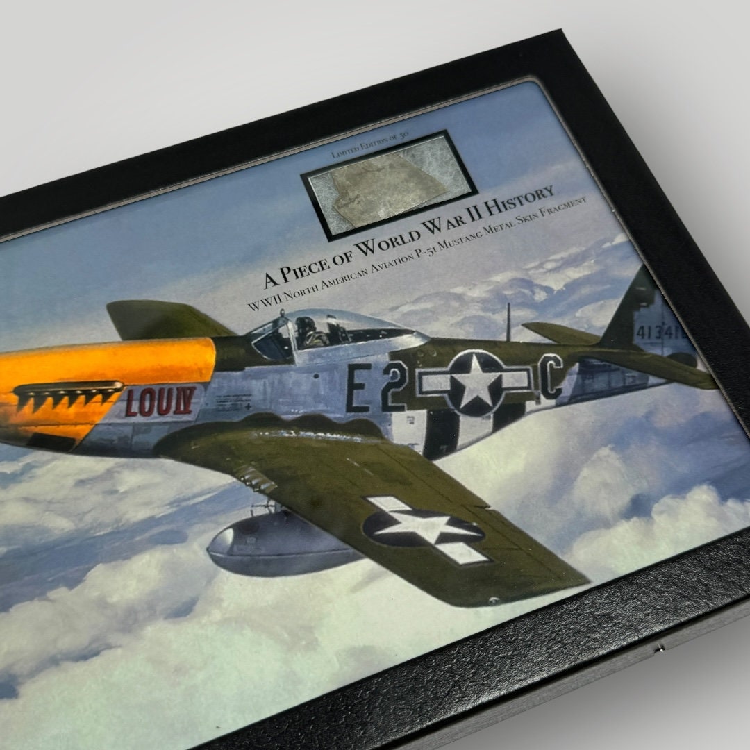 WWII P-51 Mustang Aircraft Skin Display: U.S. Army Air Force Relic ...