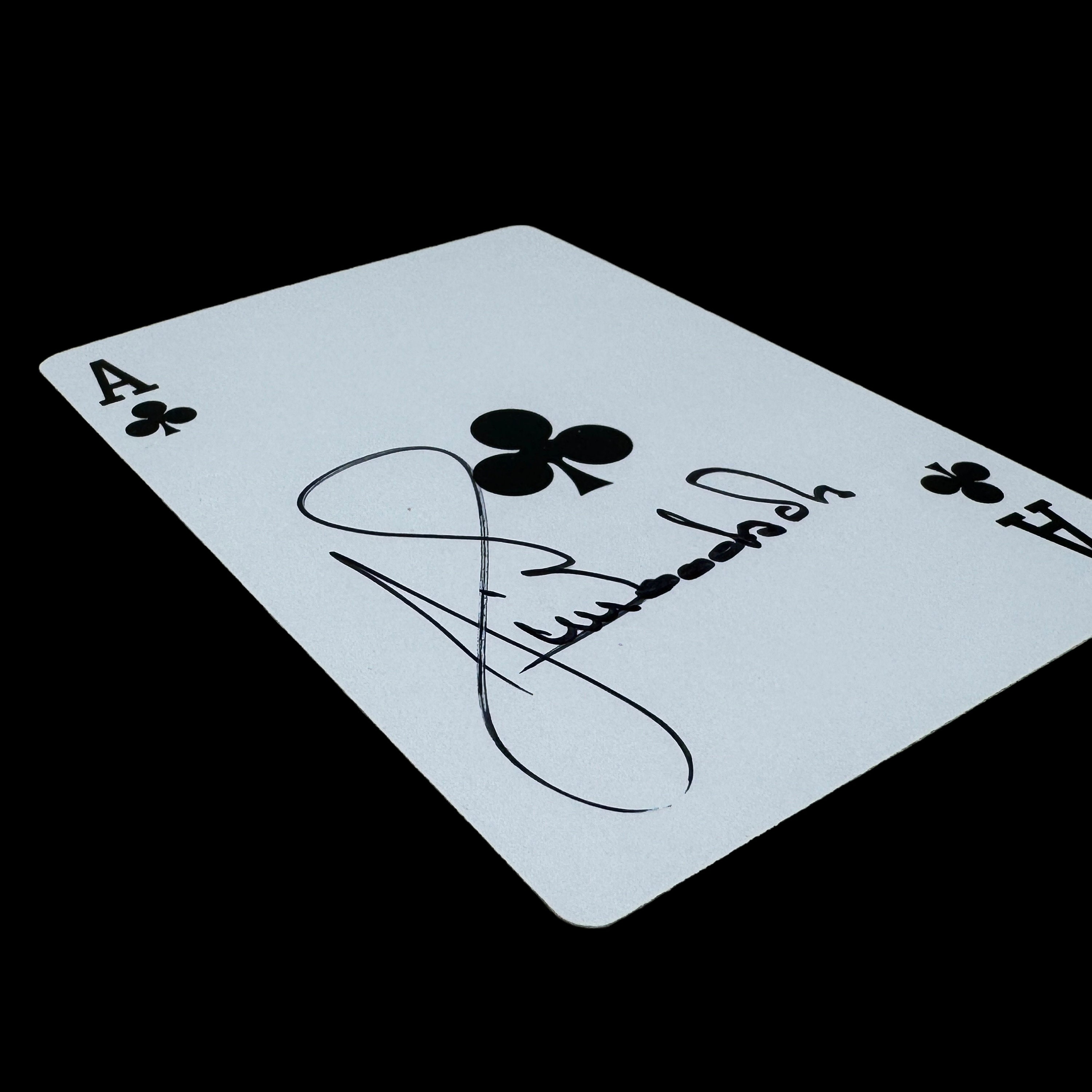 RARE Original WWII 1941-1945 Pilot ace James A. Goodson U.S. Army Air ...