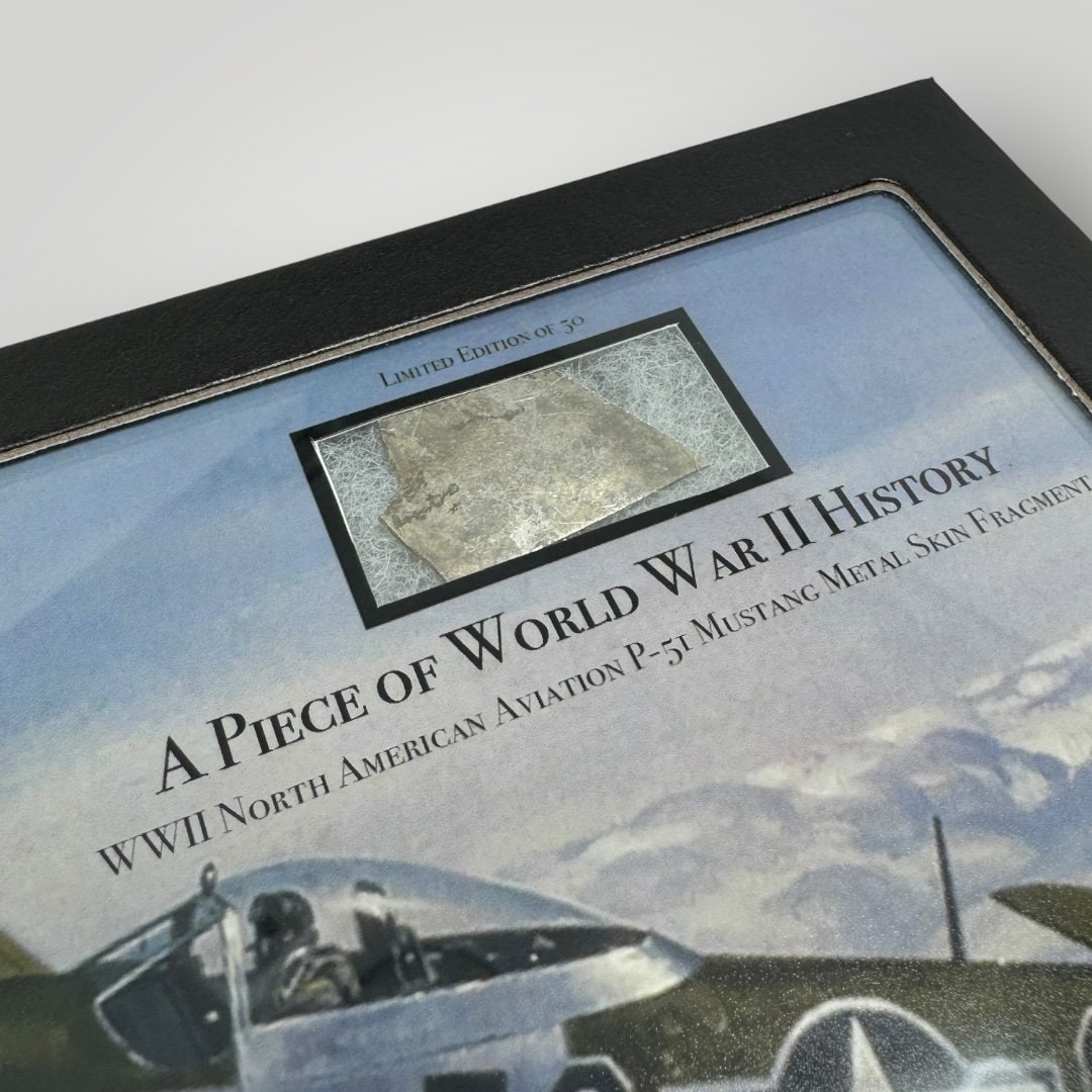 WWII P-51 Mustang Aircraft Skin Display: U.S. Army Air Force Relic ...