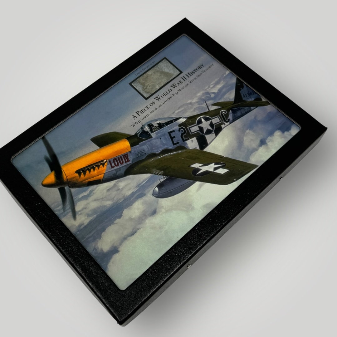 WWII P-51 Mustang Aircraft Skin Display: U.S. Army Air Force Relic ...
