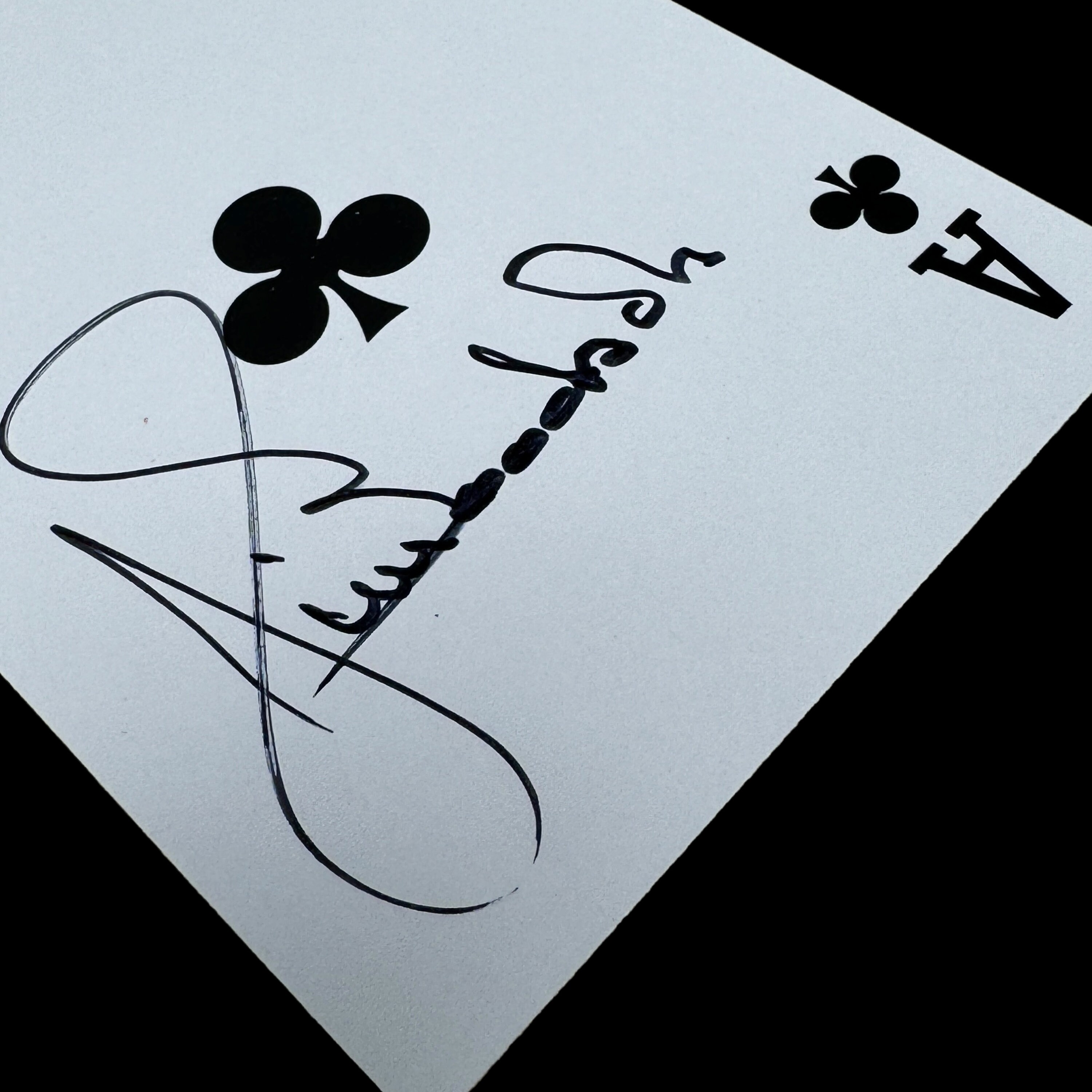 RARE Original WWII 1941-1945 Pilot ace James A. Goodson U.S. Army Air ...