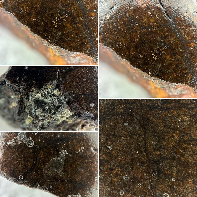 Authentic Asteroid Belt Mars Jupiter "6 Hebe" Parent Body Researched H4 ...
