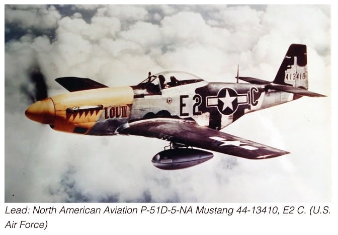 WWII P-51 Mustang Aircraft Skin Display: U.S. Army Air Force Relic ...