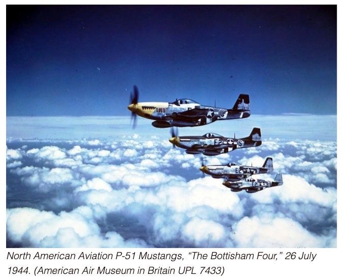 WWII P-51 Mustang Aircraft Skin Display: U.S. Army Air Force Relic ...