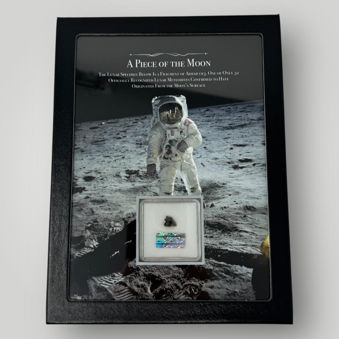 Lunar Meteorite Fragment Display: Apollo 11, NASA History (C.O.A.) - Etsy