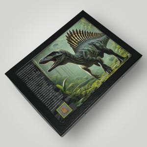 RARE! Authentic Spinosaurus Dinosaur Fossil Original Large Display Case ...