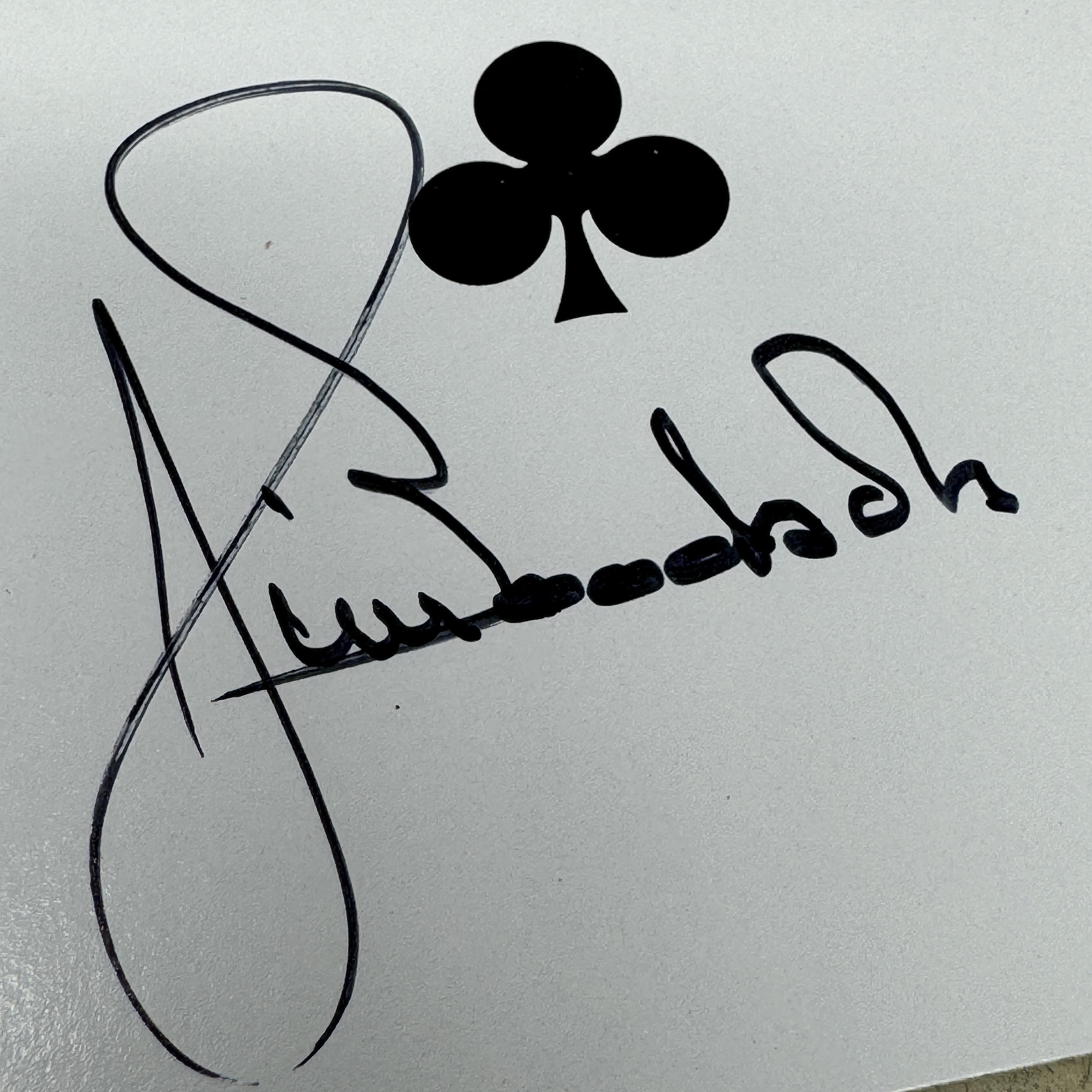 RARE Original WWII 1941-1945 Pilot ace James A. Goodson U.S. Army Air ...