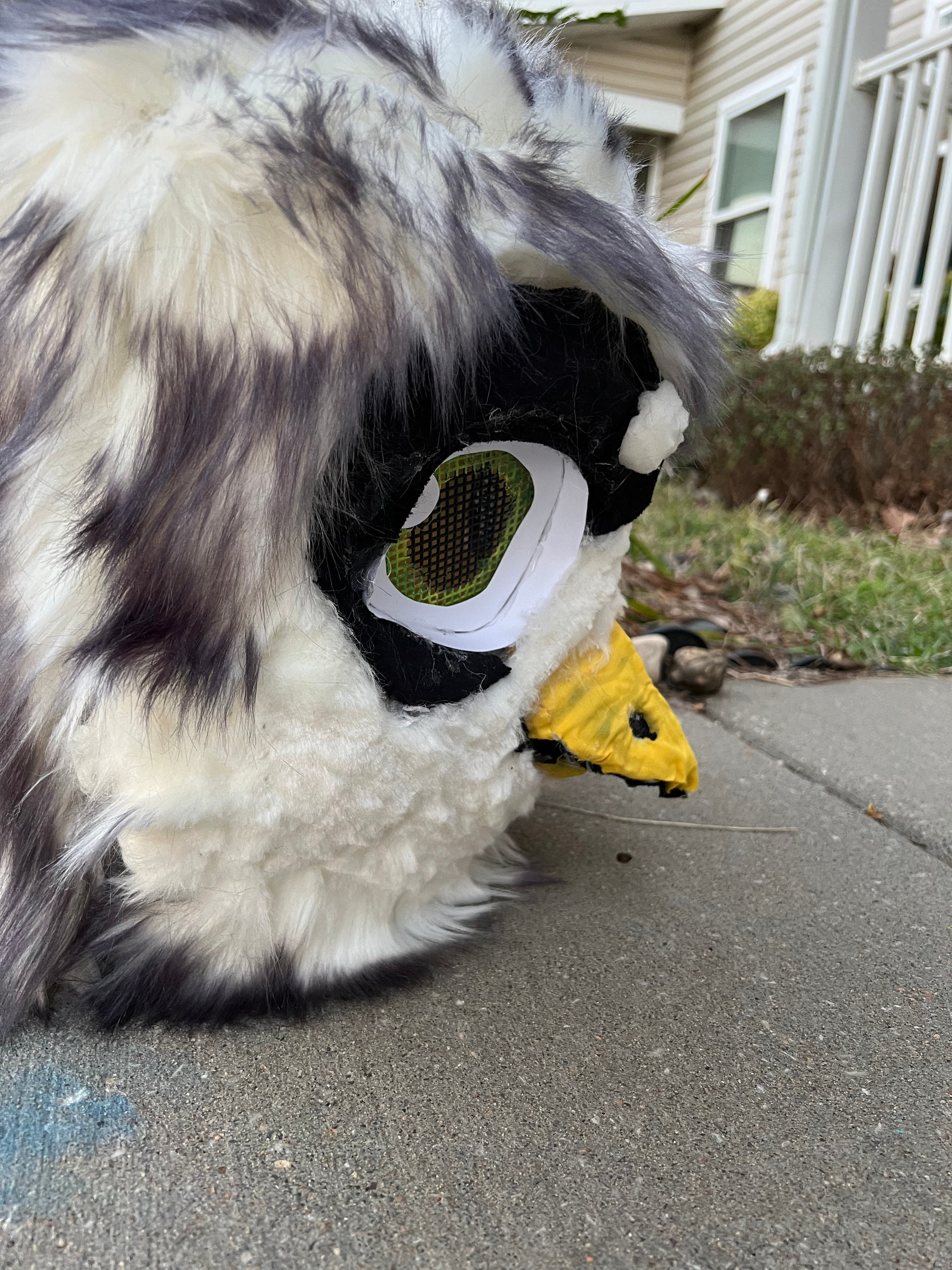 Fursuit Head Bird Named Fin - Etsy