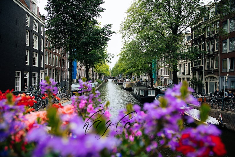 Amsterdam Canal in Summertime Photo Print Europe Travel - Etsy