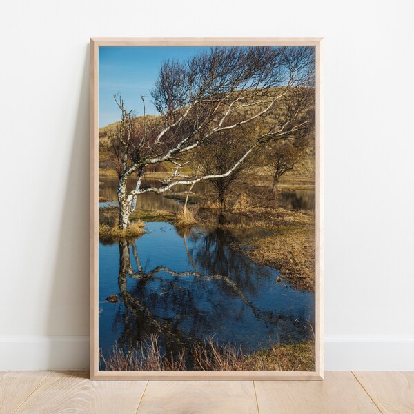 Windblown Tree - Etsy