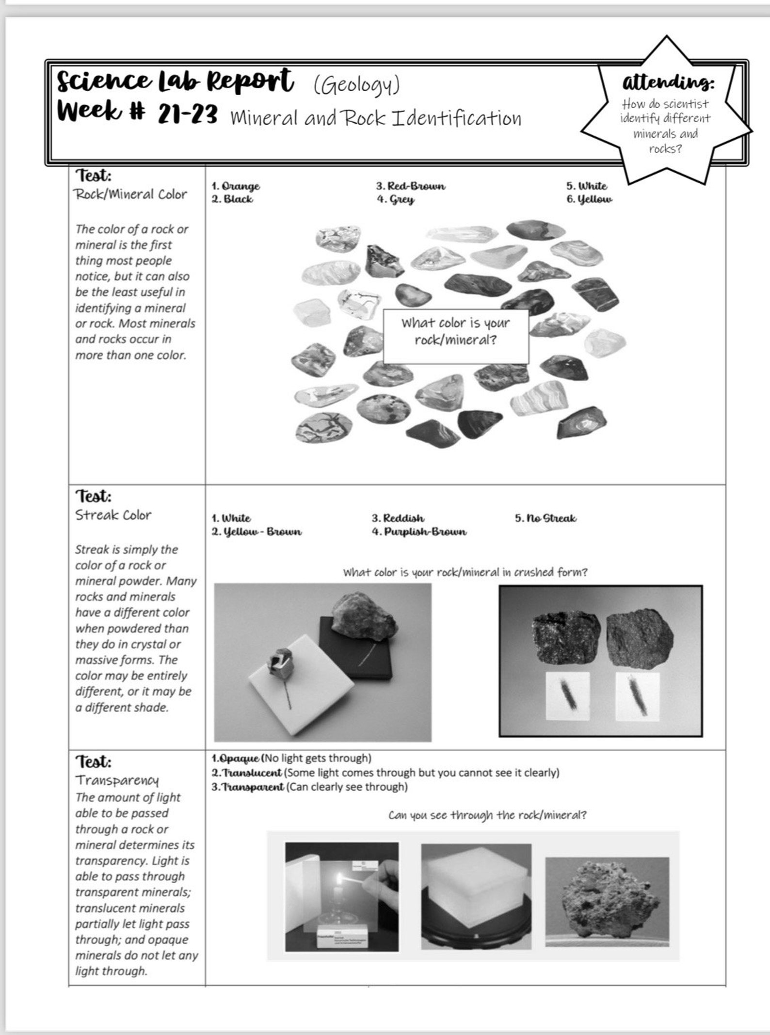 CC Cycle 1 Science Journals - Etsy