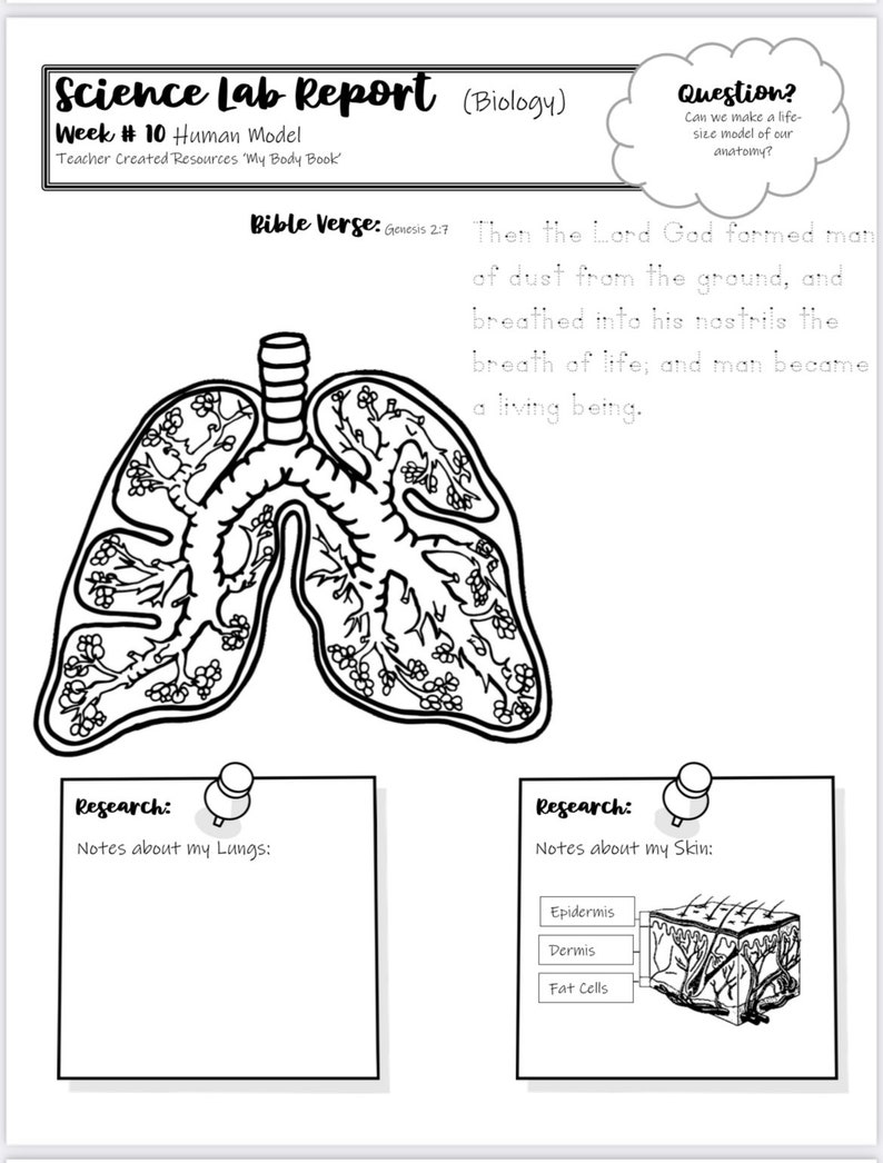 CC Cycle 3 Science Journals - Etsy