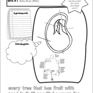CC Cycle 1 Science Journals - Etsy