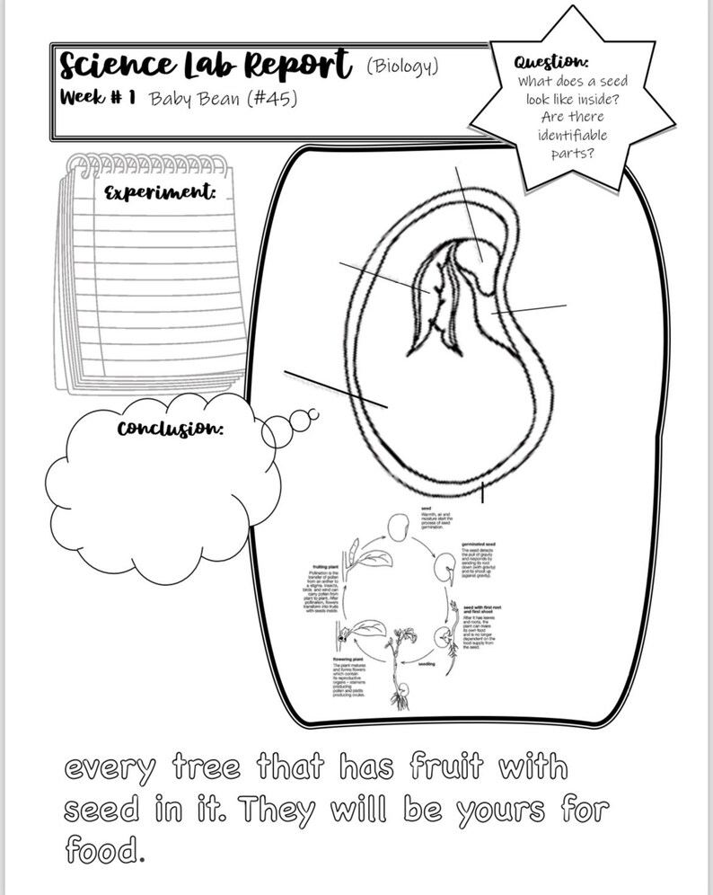 CC Cycle 1 Science Journals - Etsy