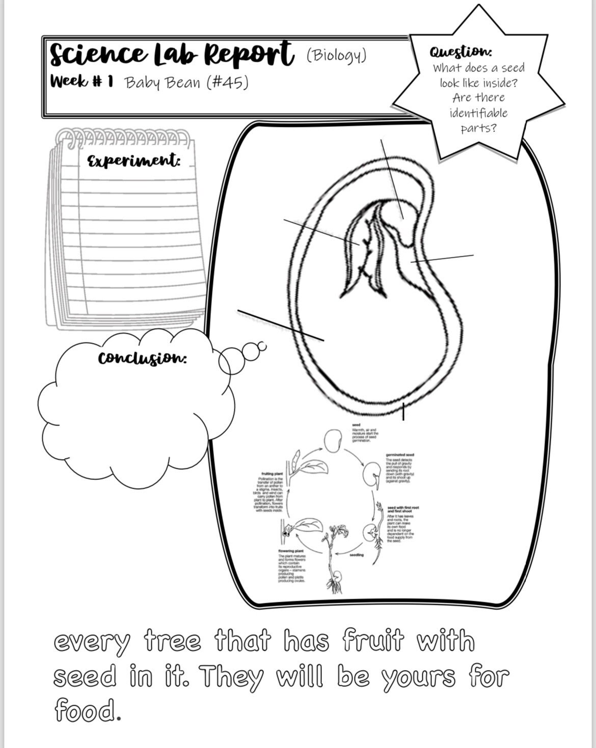 CC Cycle 1 Science Journals - Etsy